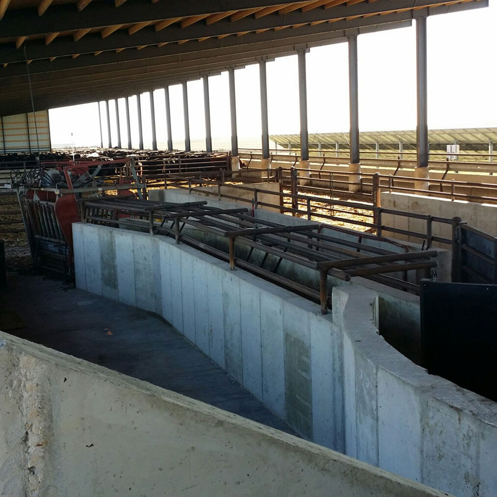 Bed Pack Facilities – Midwest Beef Systems