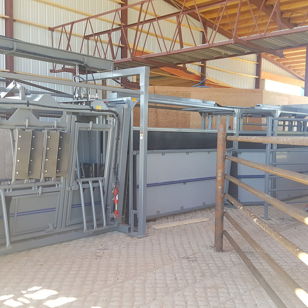 Cattle Handling Facilities – Midwest Beef Systems