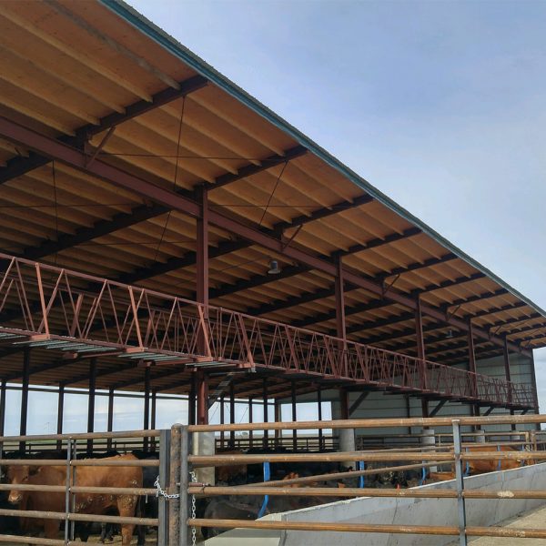 Slatted Facilities – Midwest Beef Systems